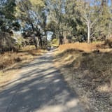 Modderfontein Dam Trail, Gauteng, South Africa - 372 Reviews, Map ...