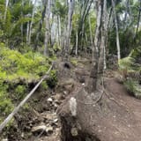 Sigua Falls, Agana Heights, Guam - 566 Reviews, Map | AllTrails