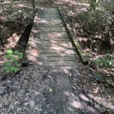 Green Ridge Trail, Texas - 1,049 Reviews, Map | AllTrails