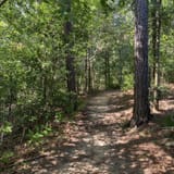 Green Ridge Trail, Texas - 1,055 Reviews, Map | AllTrails