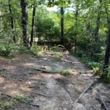 Green Ridge Trail, Texas - 1,055 Reviews, Map | AllTrails