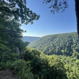 Whitaker Point Trail (Hawksbill Crag), Arkansas - 3,962 Reviews, Map ...