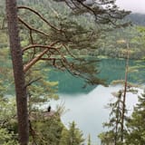 Alpsee Loop, Bavaria, Germany - 290 Reviews, Map | AllTrails