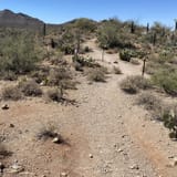 Signal Hill Trail, Arizona - 1,317 Reviews, Map | AllTrails