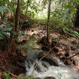 Lata Gapi Waterfall, Selangor, Malaysia - 262 Reviews, Map | AllTrails