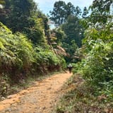 Lata Gapi Waterfall, Selangor, Malaysia - 262 Reviews, Map | AllTrails