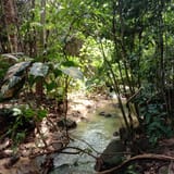 Lata Gapi Waterfall, Selangor, Malaysia - 262 Reviews, Map | AllTrails