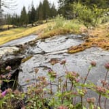 Box Canyon Trail, Washington - 254 Reviews, Map | AllTrails