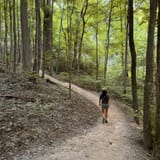 Mossy Ridge Trail, Tennessee - 7,060 Reviews, Map | AllTrails