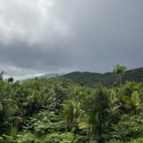 Mount Britton Tower Trail, Puerto Rico - 1,893 Reviews, Map | AllTrails