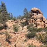 Cypress Trail to Boulders Loop, Arizona - 1,446 Reviews, Map | AllTrails