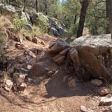Cypress Trail to Boulders Loop, Arizona - 1,461 Reviews, Map | AllTrails