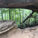 Princess Arch Trail, Kentucky - 1,407 Reviews, Map | AllTrails