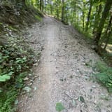 Sharps Ridge Loop Trail, Tennessee - 901 Reviews, Map | AllTrails