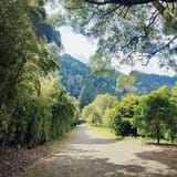Furnas Lagoon Trail, Azores, Portugal - 300 Reviews, Map | AllTrails