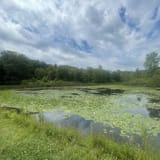Plateau Trail, Ohio - 3,462 Reviews, Map | AllTrails