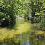 Boise Cascade Lake Loop, Idaho - 303 Reviews, Map | AllTrails