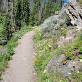 Adams Falls Trail, Colorado - 3,210 Reviews, Map | AllTrails