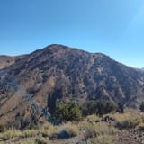 Hidden Valley County Park Trail, Nevada - 923 Reviews, Map | AllTrails