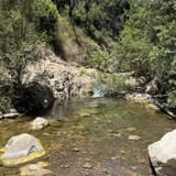 Cold Spring Loop, California - 2,312 Reviews, Map | AllTrails