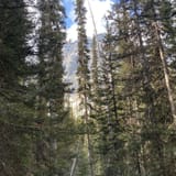 Boom Lake Trail, Alberta, Canada - 2,207 Reviews, Map | AllTrails