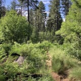 See Spring Trail, Arizona - 873 Reviews, Map | AllTrails