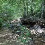 See Spring Trail, Arizona - 873 Reviews, Map | AllTrails