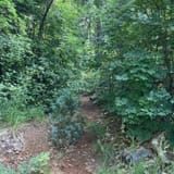 See Spring Trail, Arizona - 873 Reviews, Map | AllTrails