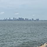 Deer Island Trail, Massachusetts - 648 Reviews, Map | AllTrails