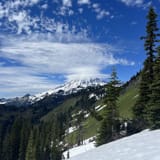 Tatoosh Ridge Trail, Washington - 389 Reviews, Map | AllTrails