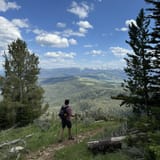 Cinnamon Mountain Trail, Montana - 231 Reviews, Map | AllTrails