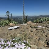 Mount Judah Loop Trail, California - 2,416 Reviews, Map | AllTrails
