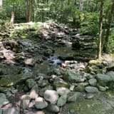 Cosby Nature Trail, Tennessee - 582 Reviews, Map | AllTrails
