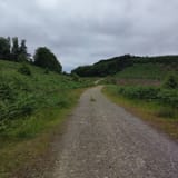Llanwonno Circular, Rhondda Cynon Taf, Wales - 24 Reviews, Map | AllTrails