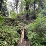 Lime Kiln Trail, Washington - 2,862 Reviews, Map | AllTrails