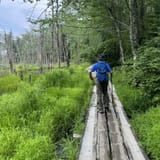 Mount Watatic, Massachusetts - 1,586 Reviews, Map | AllTrails