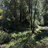 Enchanted Loop, California - 385 Reviews, Map | AllTrails