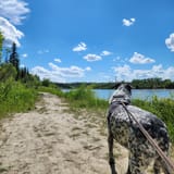 Strathcona Science Park Trail, Alberta, Canada - 155 Reviews, Map ...