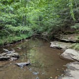 Stone Door Trail, Tennessee - 1,542 Reviews, Map | AllTrails