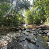Tanyard Perimeter Loop, Arkansas - 2,924 Reviews, Map | AllTrails