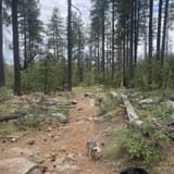 See Spring Trail, Arizona - 873 Reviews, Map | AllTrails