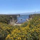Old Cove Landing Trail, California - 3,935 Reviews, Map | AllTrails