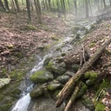Mount Toby Trail, Massachusetts - 1,163 Reviews, Map | AllTrails