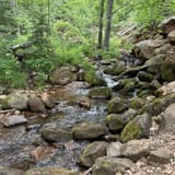 See Spring Trail, Arizona - 873 Reviews, Map | AllTrails