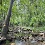 See Spring Trail, Arizona - 873 Reviews, Map | AllTrails