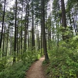 Mineral Ridge National Recreation Trail, Idaho - 3,722 Reviews, Map ...