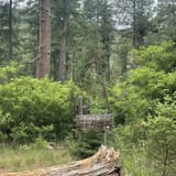 See Spring Trail, Arizona - 873 Reviews, Map | AllTrails