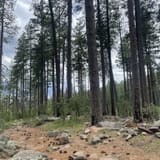 See Spring Trail, Arizona - 873 Reviews, Map | AllTrails