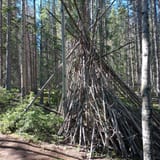 Raspberry Mountain Trail via Ring the Peak Trail, Colorado - 1,892 ...
