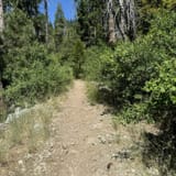 Spaulding Lake Trail, California - 1,479 Reviews, Map | AllTrails